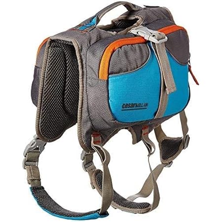 Amazon.com : Cesar Millan Pack Leader Collar™ - Training Collar of The ...