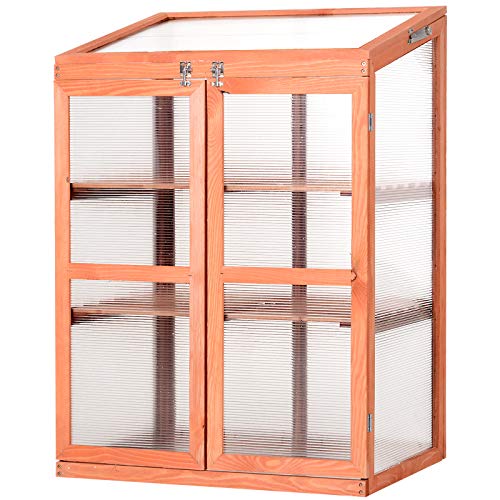 Best Cold Frames For Your Garden