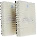 Bionaire Type A Wick Filter - BWF100-CNC : Amazon.ca: Home