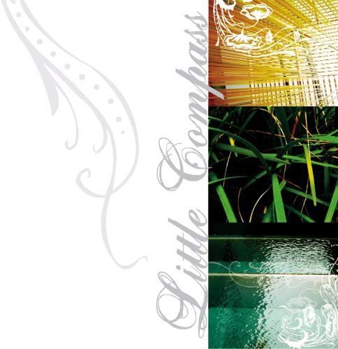 Amazon.com: Discover: CDs & Vinyl