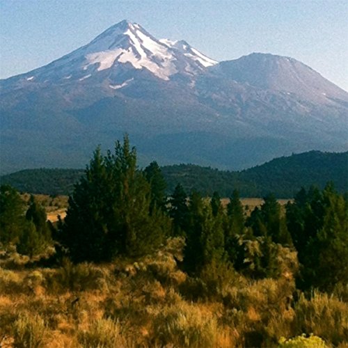 Play Pachelbel's Canon by Teddy Christman on Amazon Music