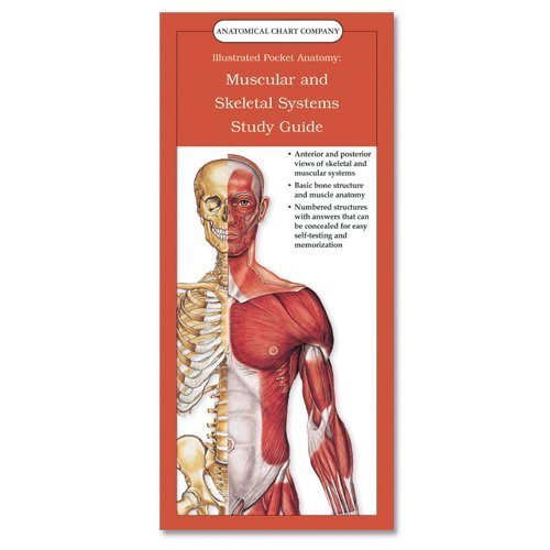 Illustrated Pocket Anatomy: Muscular And Skeletal Systems Study Guide ...