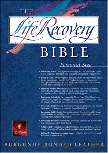 Life Recovery Bible: New Living Translation, Personal Size Edition ...