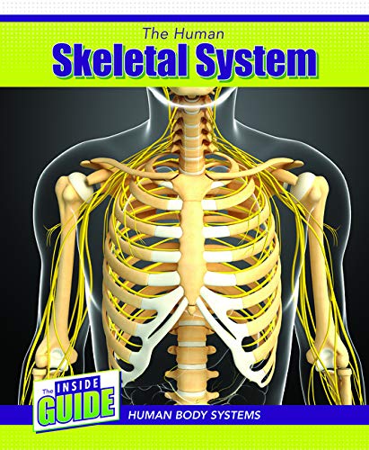 The Human Skeletal System (Inside Guide: Human Body Systems) : Lawton ...