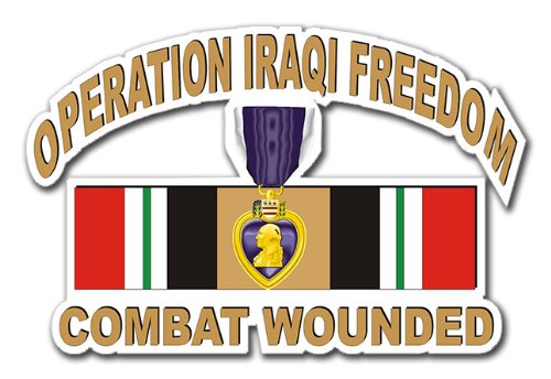 Amazon.com: Operation Iraqi Freedom (OIF) Purple Heart Combat Wounded ...
