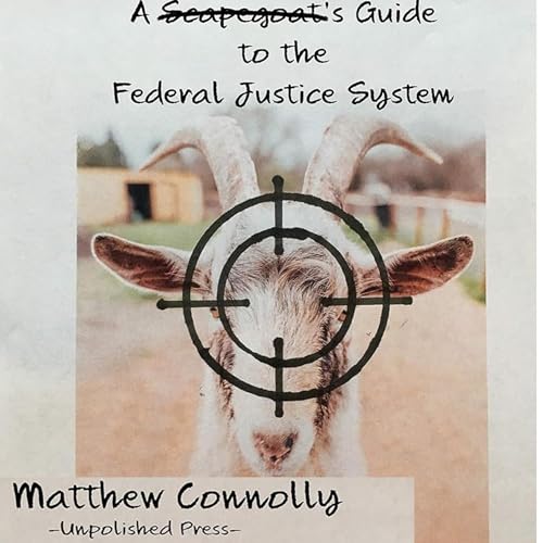 Amazon.com: Target: A Scapegoat's Guide to the Federal Justice System ...