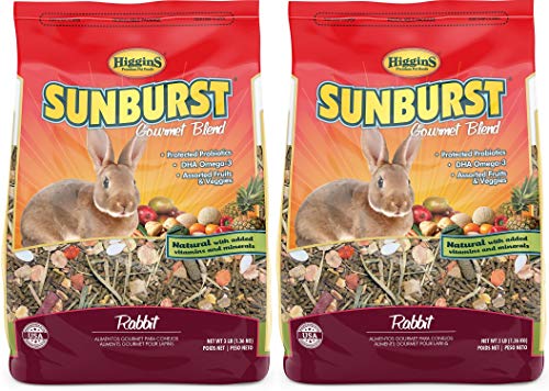 Get Your Bunny Hopping with the Top 10 Sunburst Rabbit Food Picks ...
