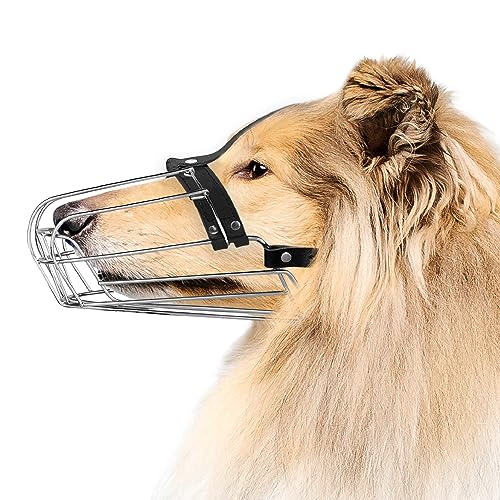 Maulkorb Windhund – Die 16 besten Produkte im Vergleich - HundeINFOPortal