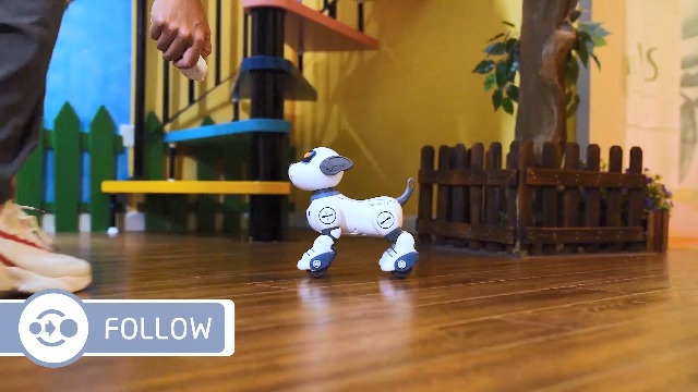 Watch RC robot dog BG1533 on Amazon Live