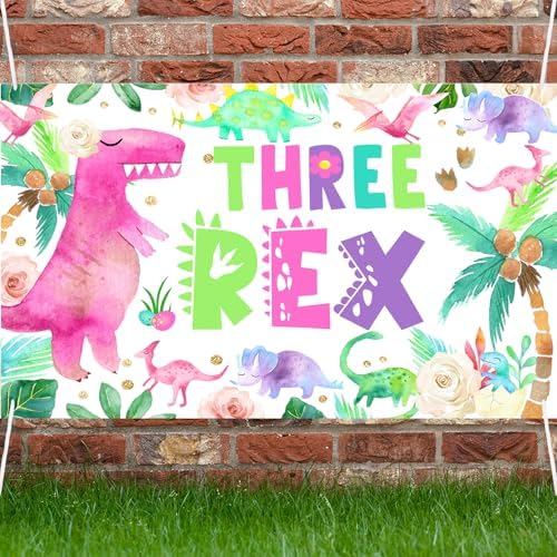 Amazon.com: Three Rex Birthday Decorations Girl Watercolor Dinosaur ...