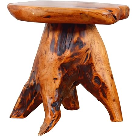 Amazon.com: Brefhome Wooden Tree Stump Plant Stand Stool Side Table ...