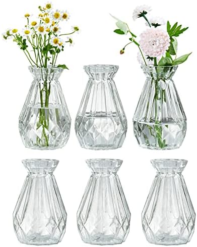 Amazon.com: MyGift Small Glass Bud Vase, 5 Inch Decorative Flower Vases ...