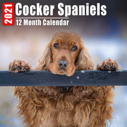 Mini Calendar 2021 Cocker Spaniels: Cute Cocker Spaniel Photos Monthly ...
