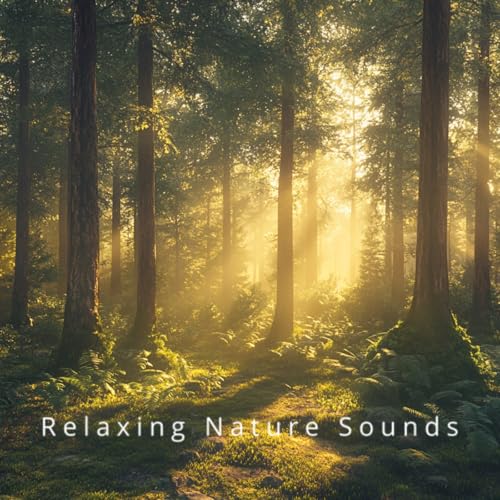 Play Rainforest Calm: Deep Sleep Tones by Relaxing Nature Sounds on ...