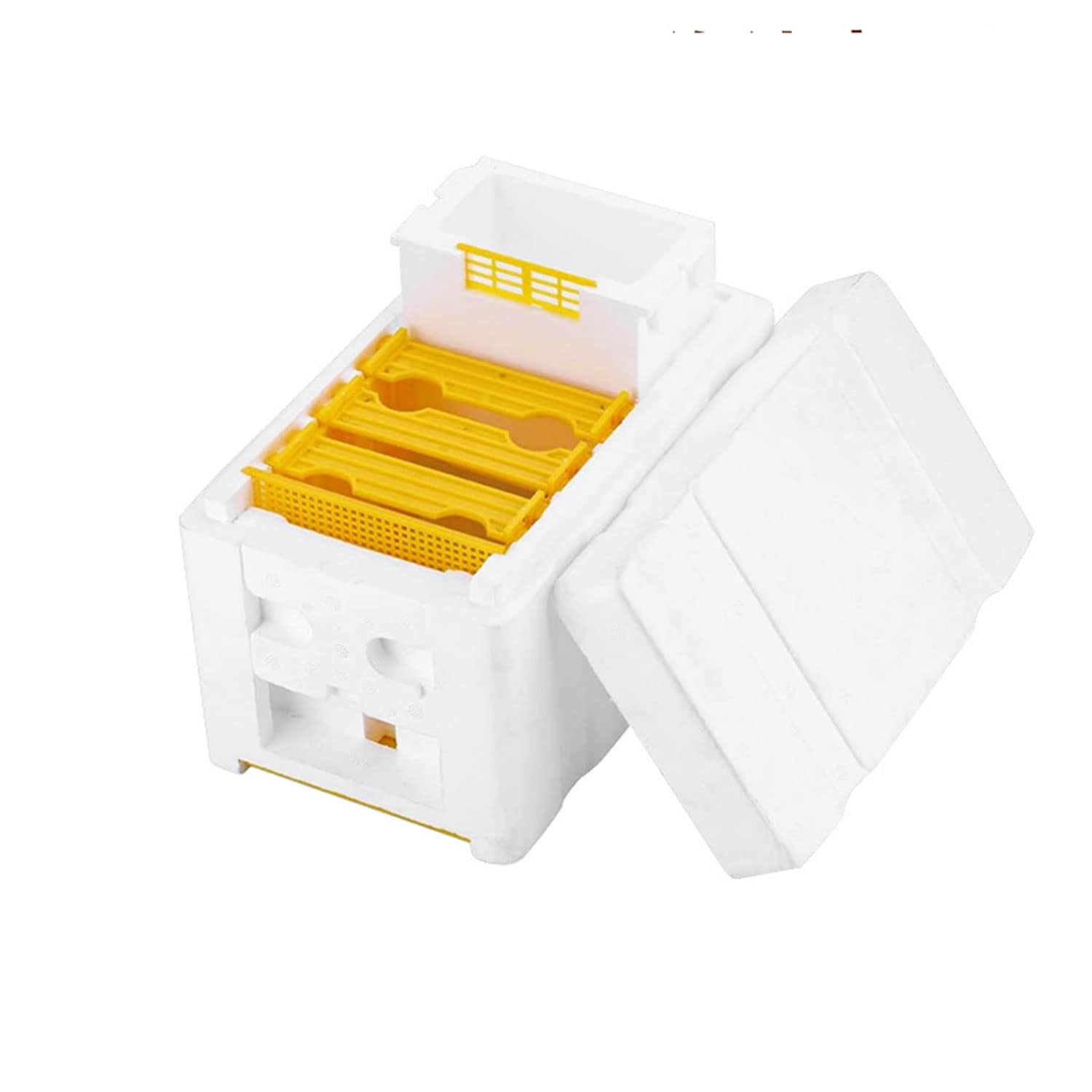 Buy plhzh Queen Bee Hive Boxes Mini Bee Hives Polystyrene Foam Queen ...