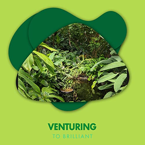 Amazon Musicで自然音のVenturing to Brilliant Natureを再生する