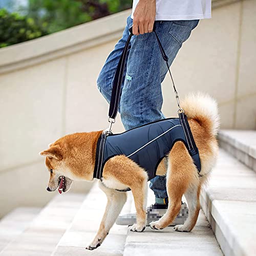 10 Best Walking Harnesses for Disabled: Your Ultimate Buying Guide ...