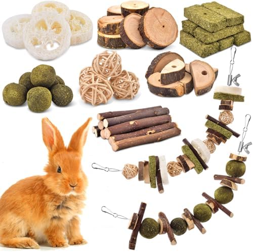 Amazon.com : 10 Pack Small Animal Combo Wood Activity Toys, Hamsters ...