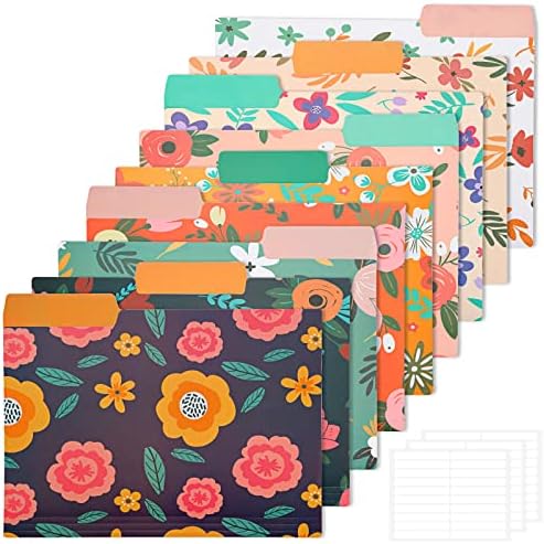 Amazon.com : Carson Dellosa Owl Decorative File Folder Set—11.75" x 9.5 ...