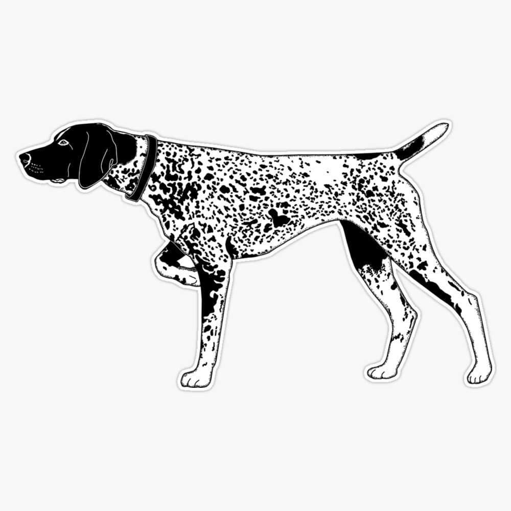 German Shorthaired Pointer On Point Clip Art