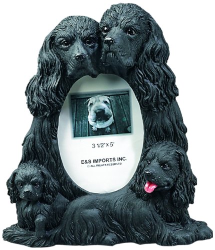 Black Springer Spaniel Gift Picture Frame Holds Your Favorite 3x5 Inch ...