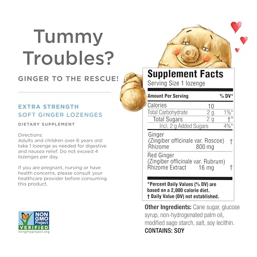 The Ginger People Ginger Rescue Digestive Wellness Lozenges (Soft ...