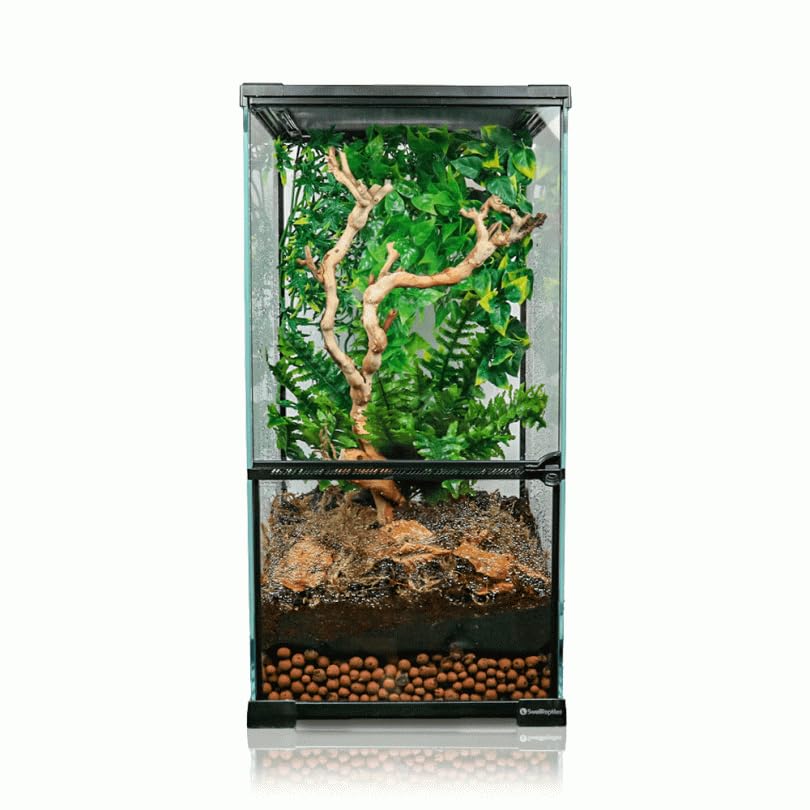 Swell Reptiles Glass 30cm x 30cm x 60cm Paludarium and Reptile Tank for ...