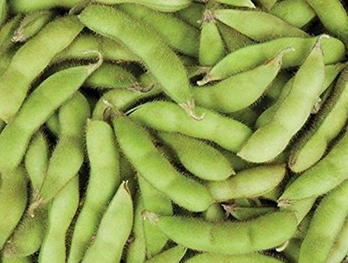 Edamame Continente - FICA