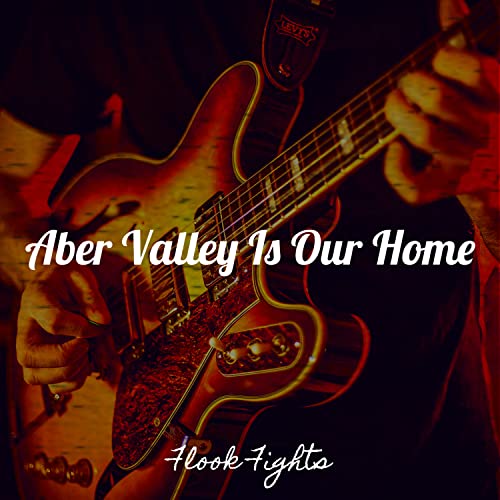 Play Aber Valley Is Our Home by Flook Fights on Amazon Music Unlimited