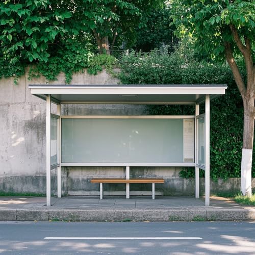 Lobmanu Bus Stop of Life by Bobby Mccarthy on Amazon Prime Music