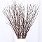 Amazon.com: 40Pcs Real Dried Birch Twigs - 17" White Decorative Birch ...
