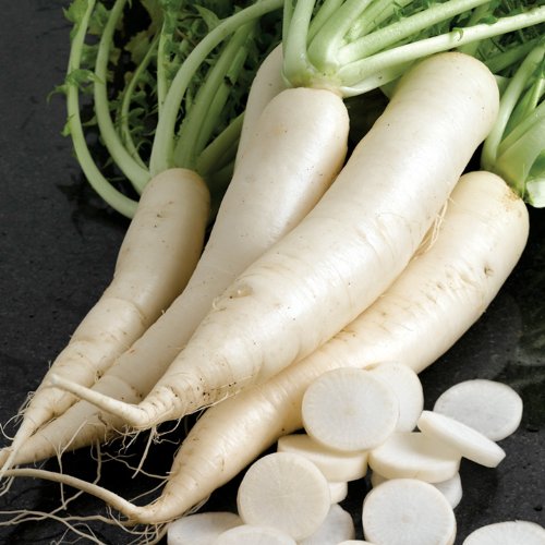 MaliaGarden White Radish - Long Mooli - 50 Hybrid Vegetable Seeds ...