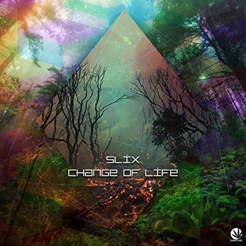 Amazon MusicでSlixのChange Of Lifeを再生する