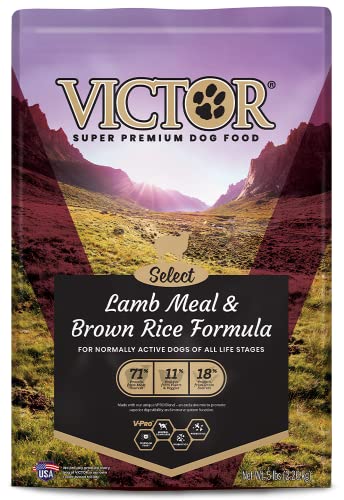Unleash the Power of Your Pooch with Victor Performance Dog Food: Top ...