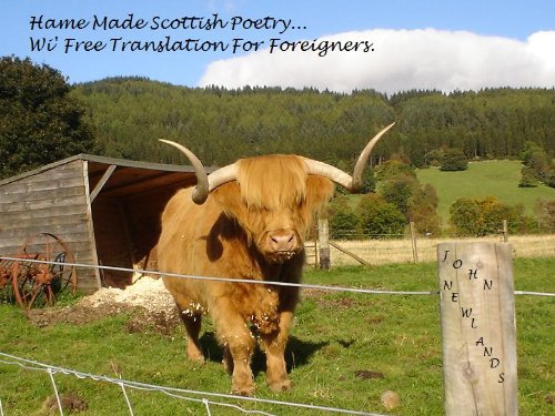 Hame Made Scottish Poems...Wi' Free Translation for Foreigners ...