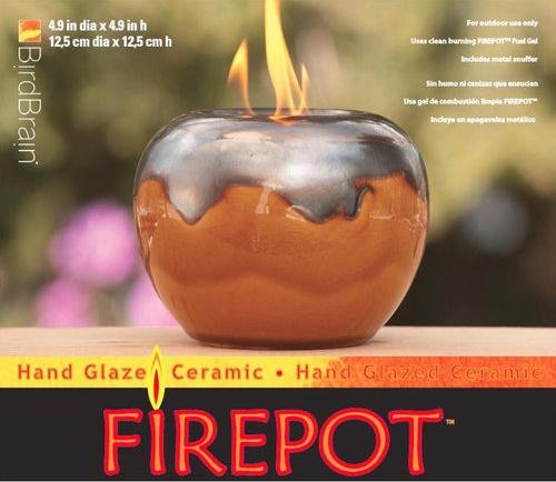 Loki Firepot Honey Metallic By Bird Brain Inc. : Amazon.in