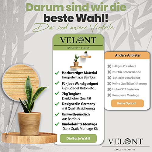 Wandregal mit Pflanzen – Die 15 besten Produkte im Vergleich ...