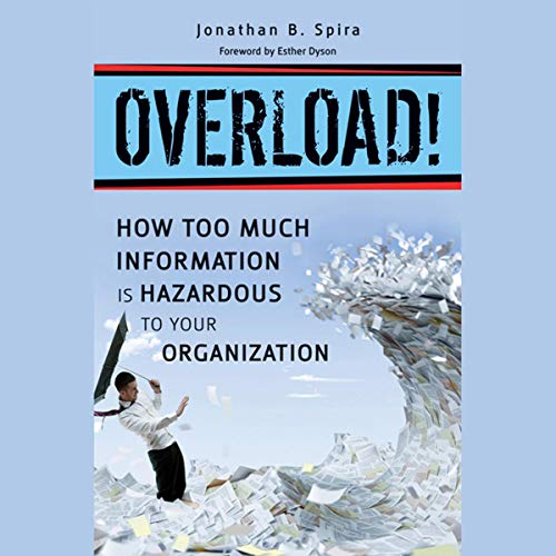 Amazon.com: Overload!: How Too Much Information Is Hazardous to Your ...