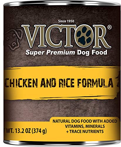 Unleash the Best Nutrition for your Pooch! Top 10 Victor Dog Food ...