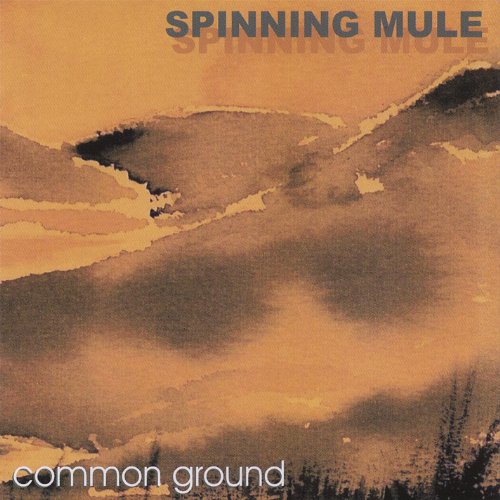 Play Common Ground by Spinning Mule on Amazon Music