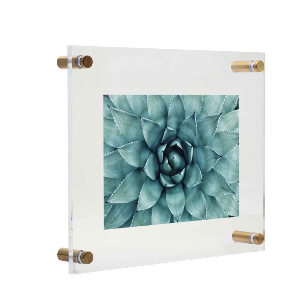 Amazon.com - Palm to Palm Modern Floating Frame (1, 8" x 10") Clear ...