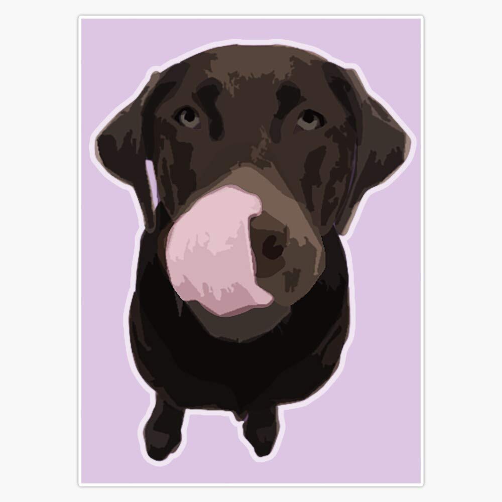 Amazon.com - Chocolate Lab Sticker Vinyl Waterproof Sticker Decal Car ...