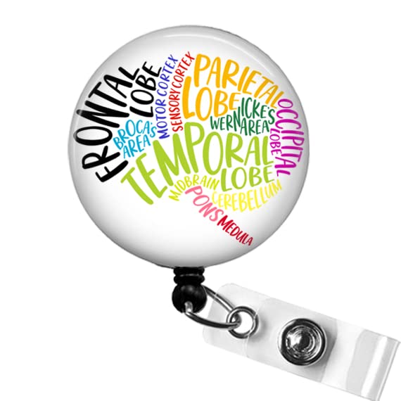 Amazon.com: Neurology Nurse Badge, Brain Anatomy Badge Reel, Neuro ...