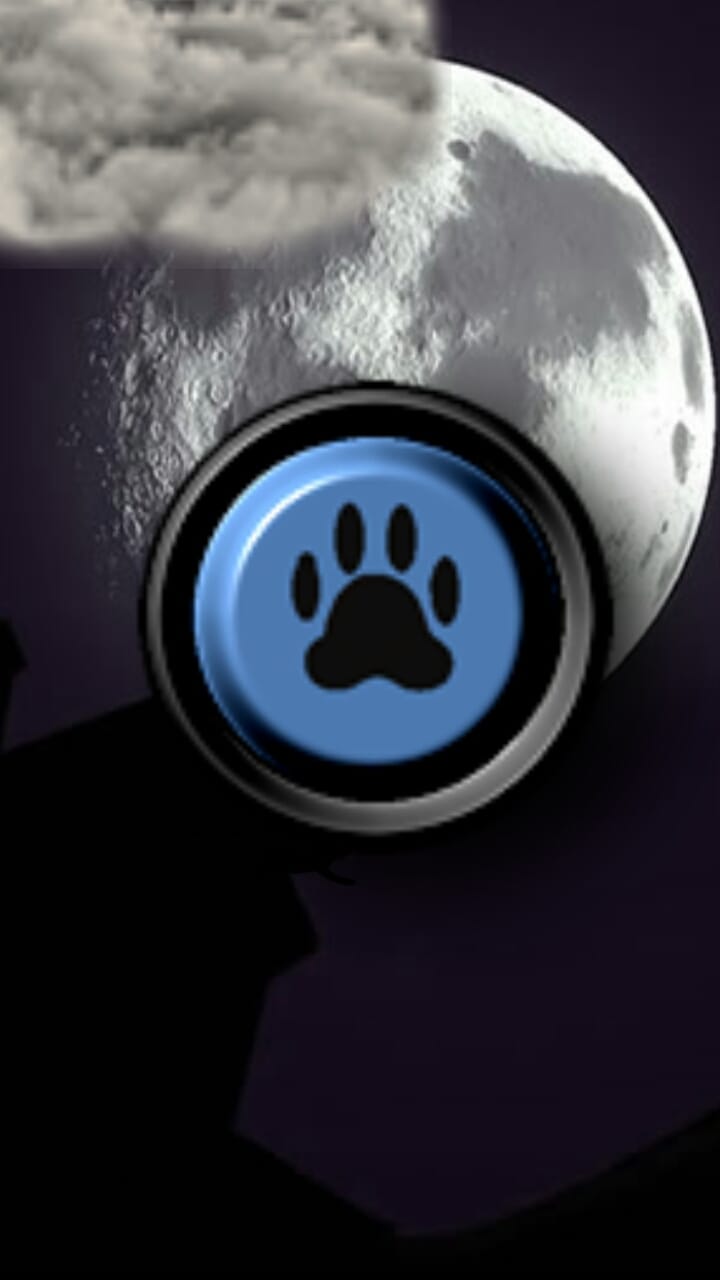 Catbomb - App on Amazon Appstore