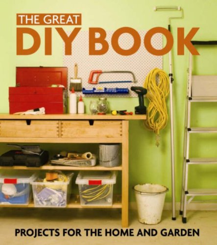 Buy The Great DIY Book Book Online at Low Prices in India | The Great ...