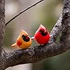 Amazon.com: INF-STAR 2PCS Small Wood Male and Female Northern Cardinal ...