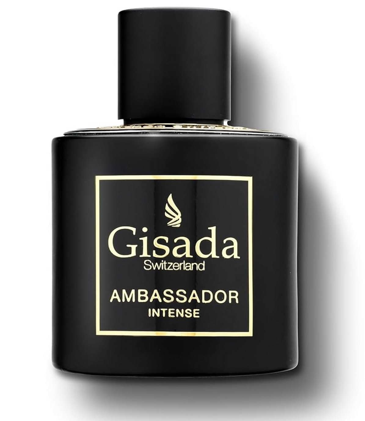 Amazon.com : Gisada Switzerland Mens Eau De Parfum Fragrance, Perfume ...
