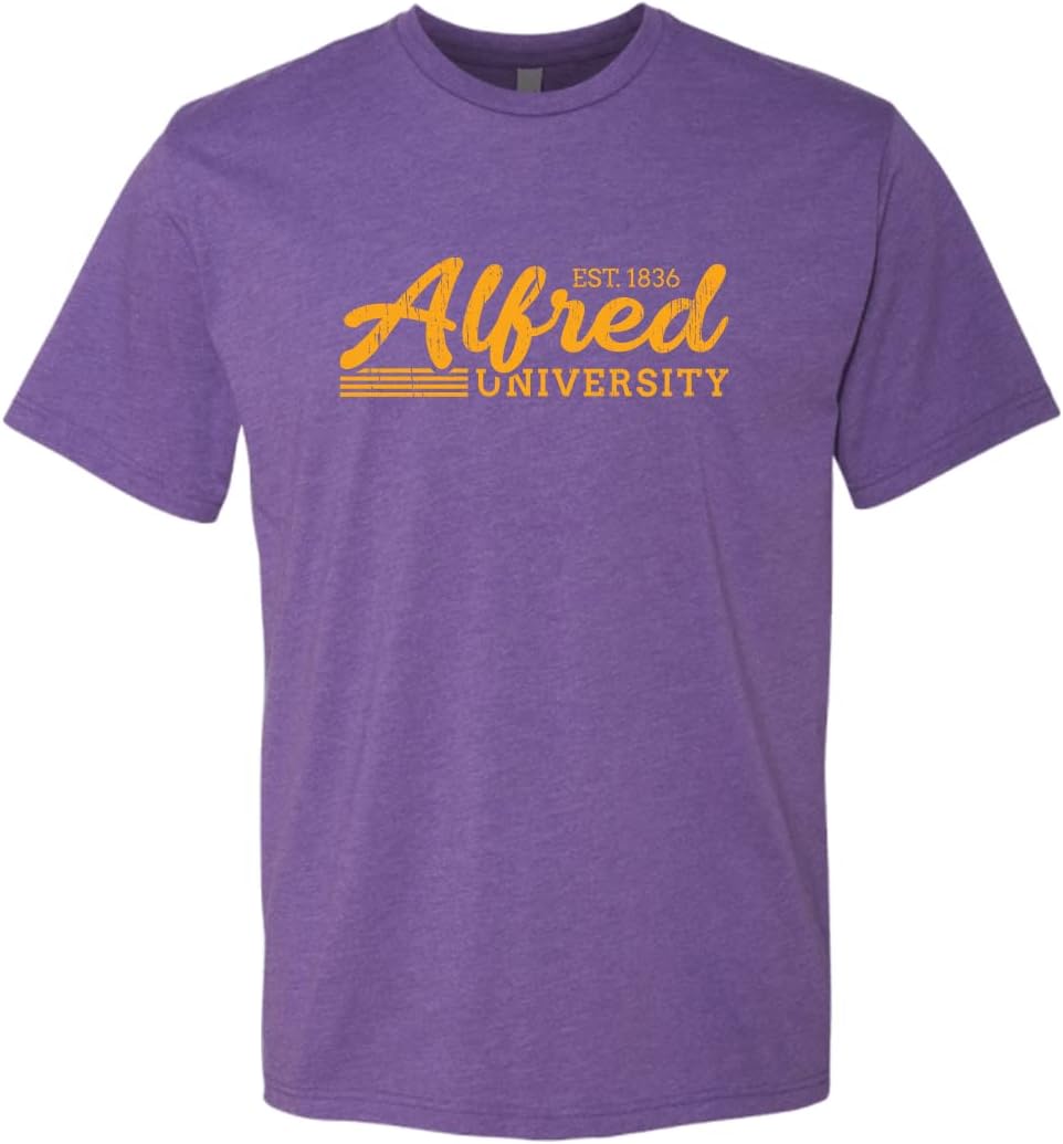 Amazon.com: Vintage Alfred University Unisex Premium Short Sleeve T ...