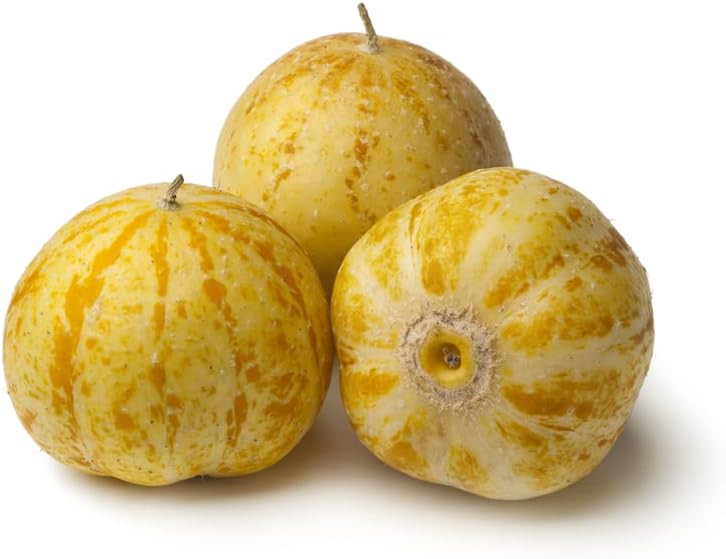 Heritage Cucumber Plants, Cucumber 'Lemon Apple', 1 x Full Plant in a ...