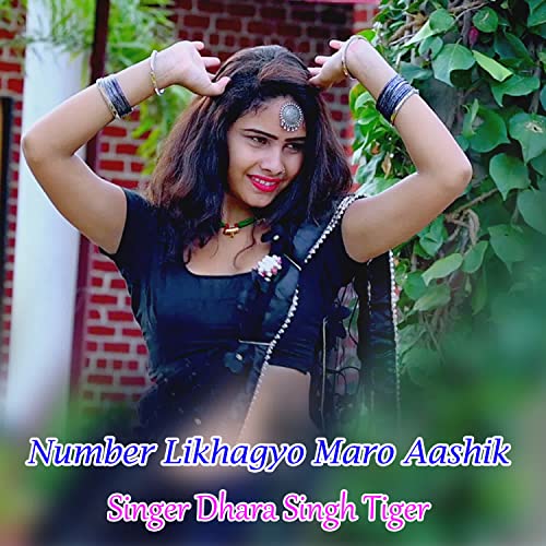 Number Likhagyo Maro Aashik by Dhara Singh Tiger on Amazon Prime Music